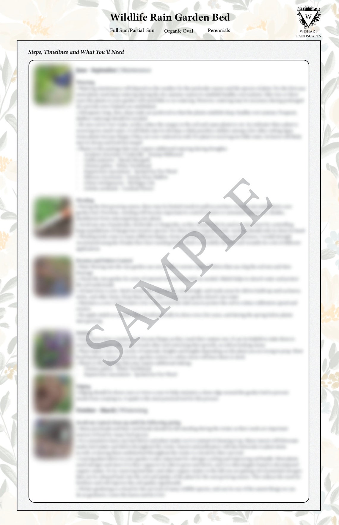 Wildlife Rain Garden Template Organic Oval 3.5m X 5.5m Drawn to Scale ...