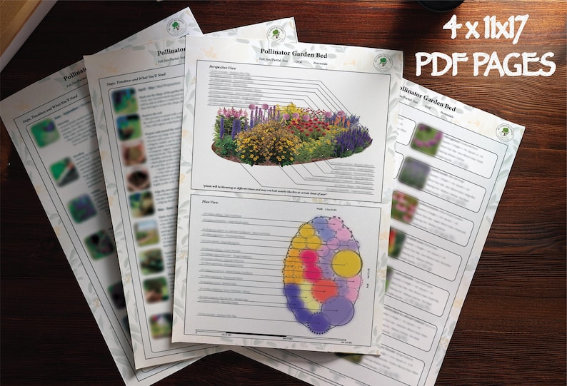 Pollinator Garden Bed Template - Oval (4m X 2.5m - Drawn to Scale ...