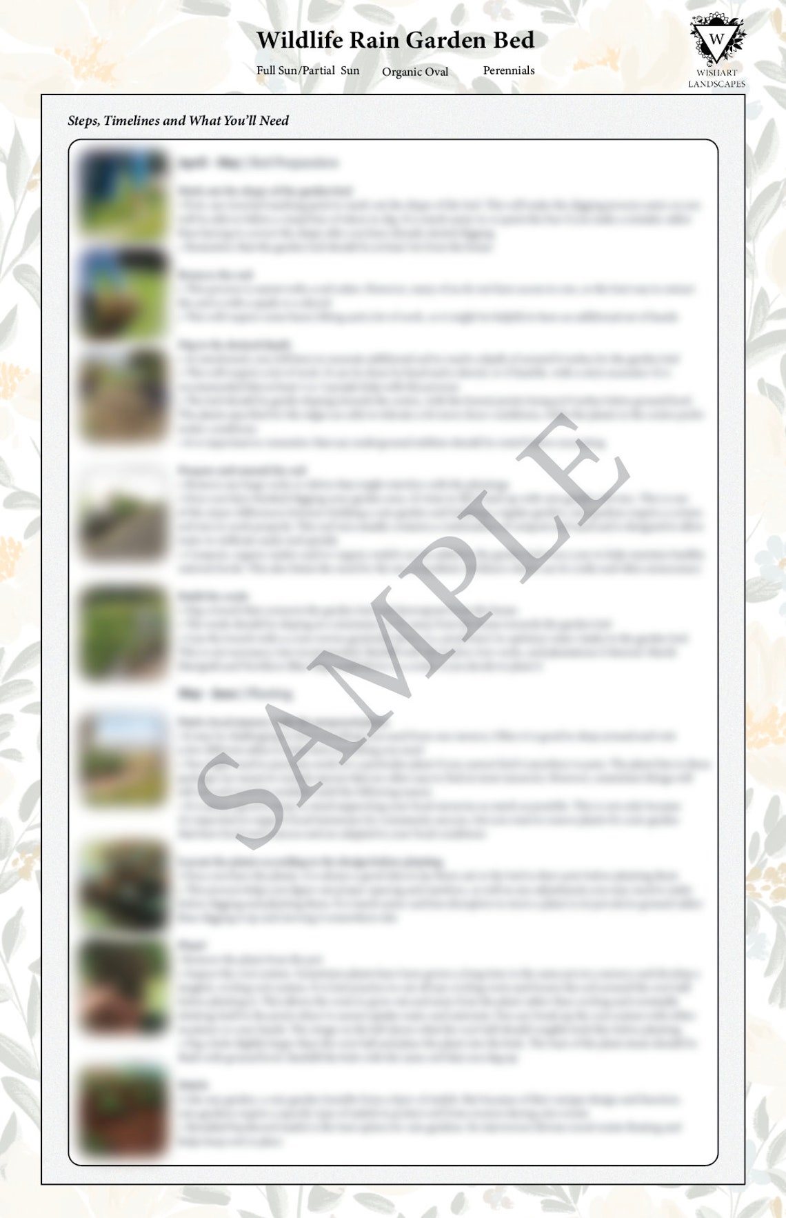 Wildlife Rain Garden Template Organic Oval 3.5m X 5.5m Drawn to Scale ...