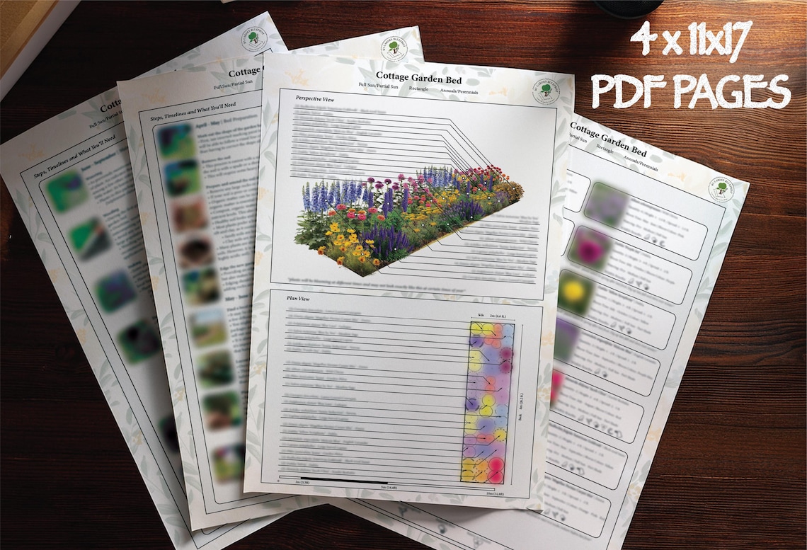 Cottage Garden Bed Template - Rectangle (2m X 8m - Drawn to Scale ...