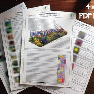 Cottage Garden Bed Template - Rectangle (2m X 8m - Drawn to Scale ...
