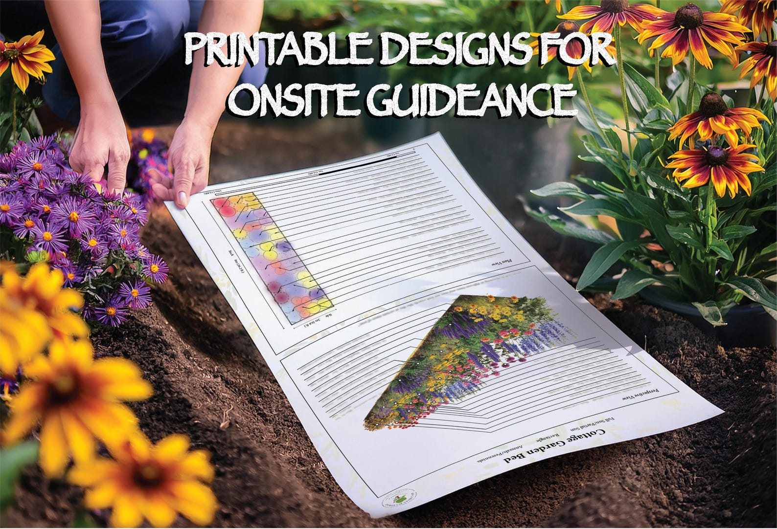 Cottage Garden Bed Template - Rectangle (2m X 8m - Drawn to Scale ...