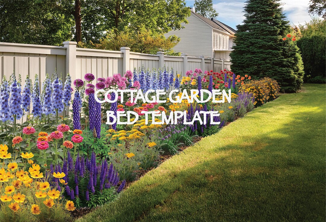 Cottage Garden Bed Template - Rectangle (2m X 8m - Drawn to Scale ...