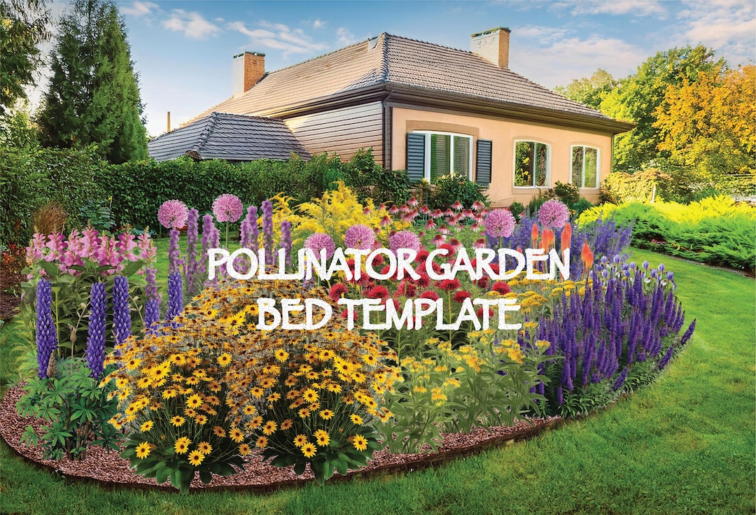 Pollinator Garden Bed Template - Oval (4m X 2.5m - Drawn to Scale ...