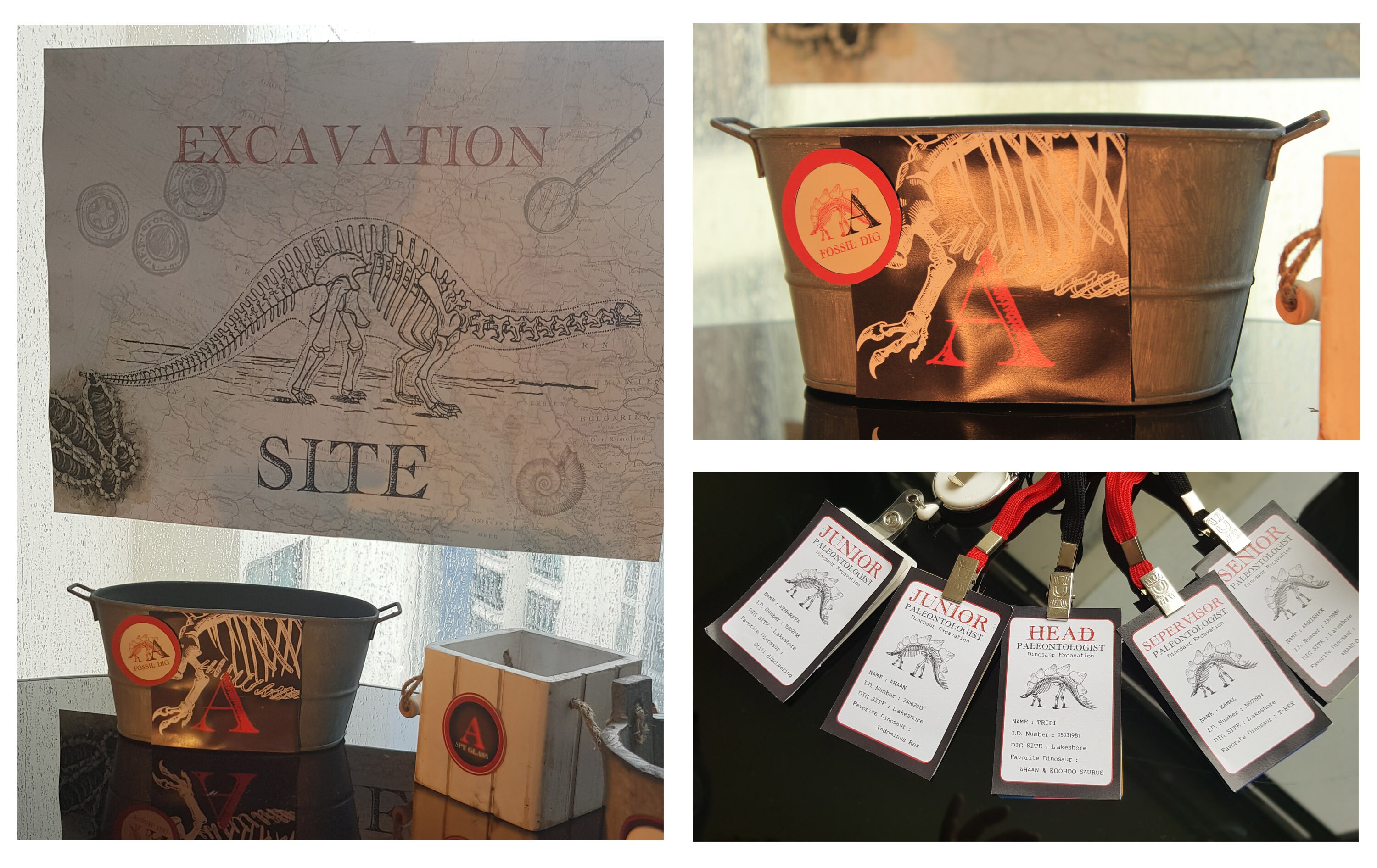 Dinosaur Excavation Dig Happy Birthday Sign & Labels Dino-dig Site ...