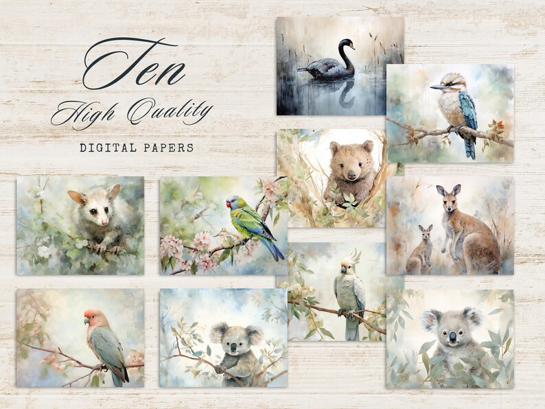 Australia Junk Journal, Oz Animals Scrapbook Papers, Koala Rustic ...