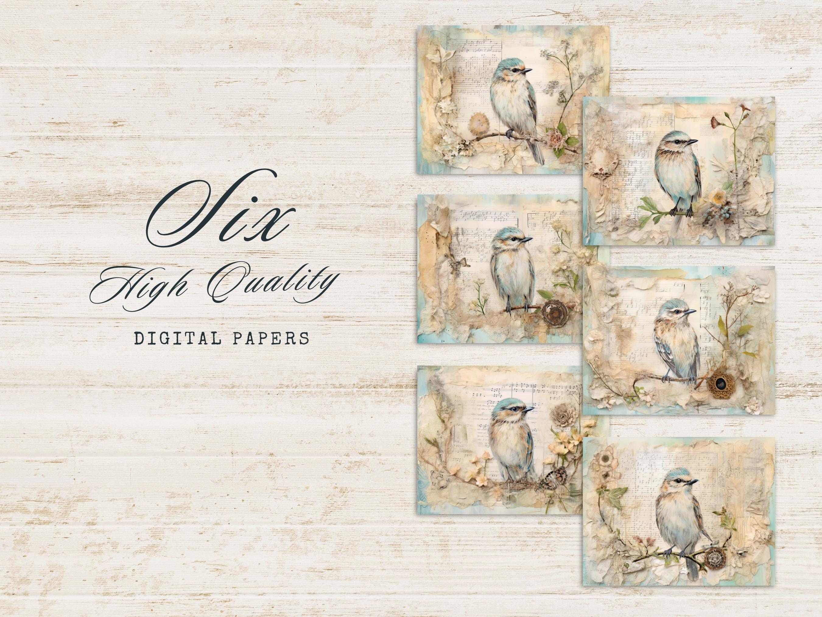 Vintage Bird Junk Journal Papers, Watercolor Digital Papers, Distressed ...