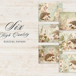 Woodland Animals Junk Journal, Hedgehog Digital Paper, Watercolor ...