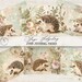 Woodland Animals Junk Journal, Hedgehog Digital Paper, Watercolor ...