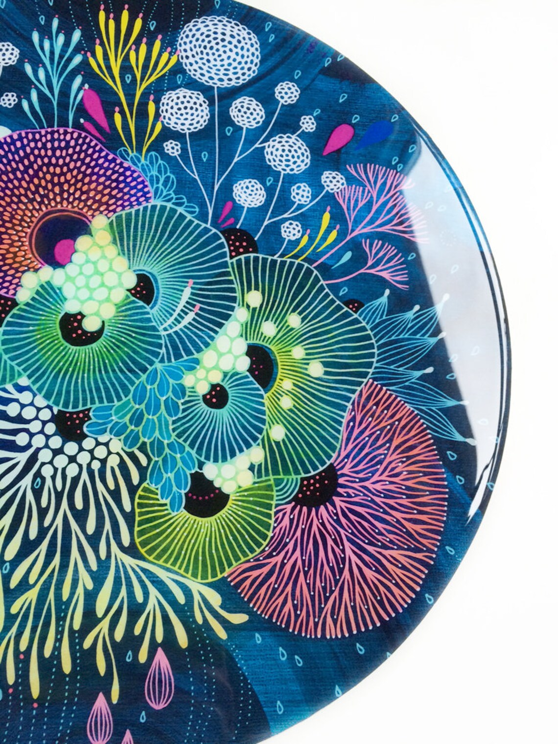 Resin Covered Print on Round Panel, Seedling - Etsy