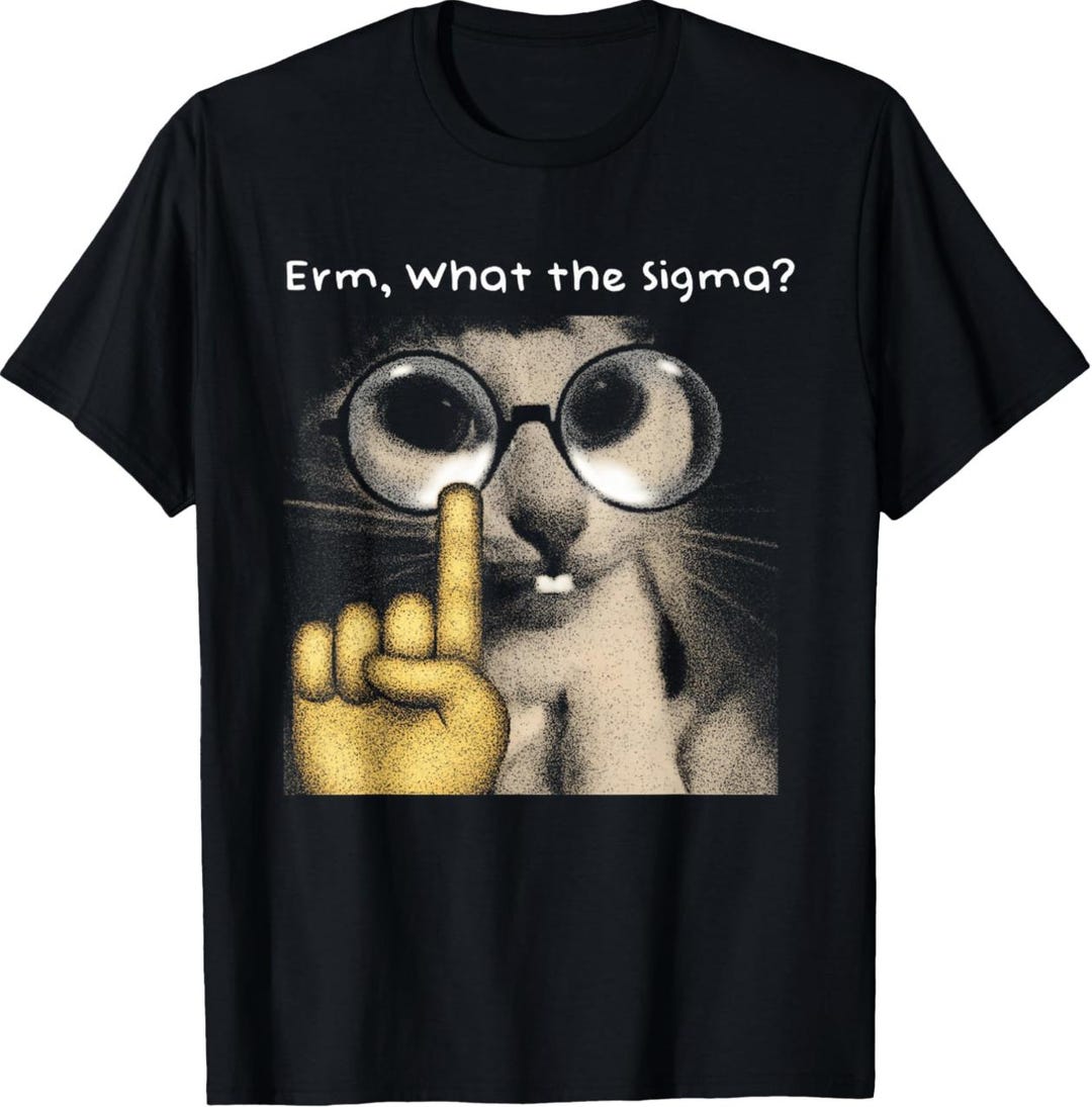 Erm What the Sigma Meme Shirt, Cat Meme Shirts, Erm What the Sigma Cat ...