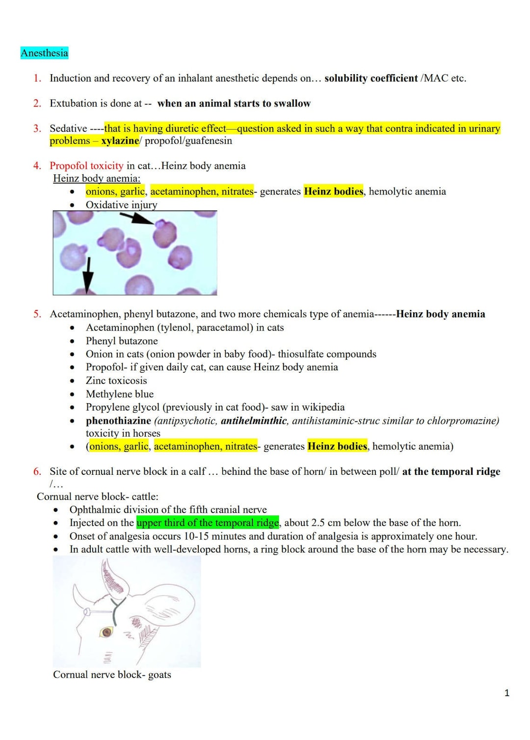 Ultimate BCSE Notes Ultimate BCSE Study Guide BCSE Notes With Images ...