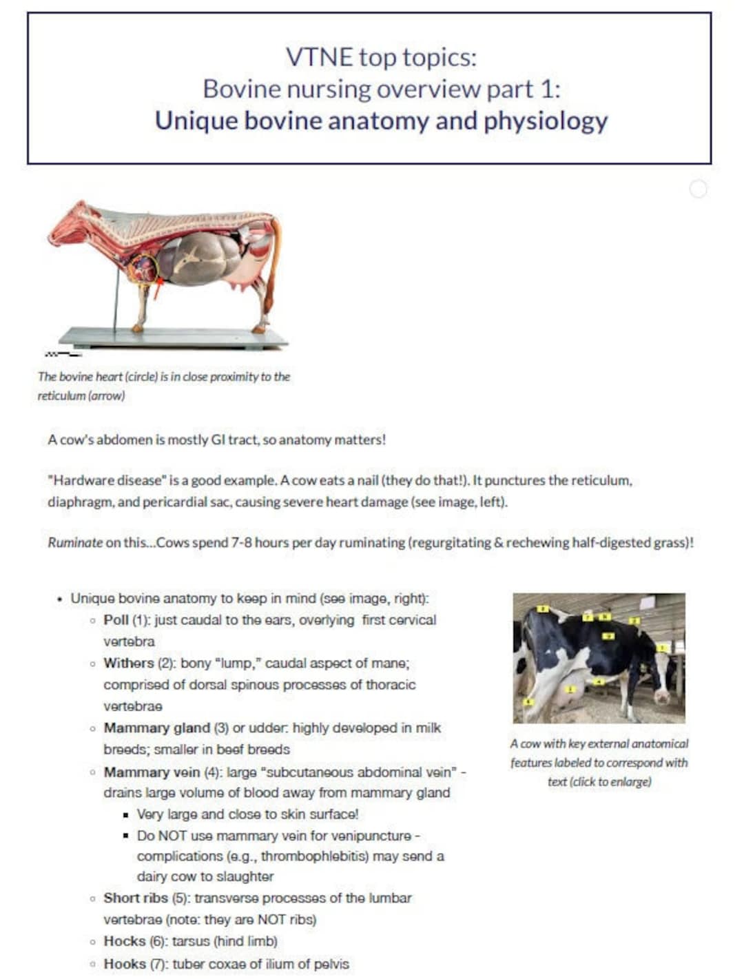 Comprehensive VTNE Notes Concise VTNE Study Notes for Exam 80 Pages ...