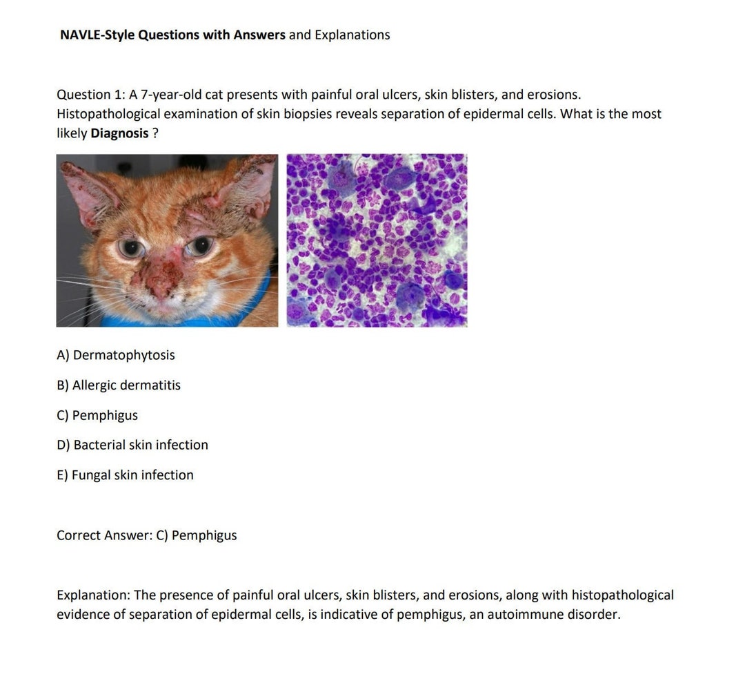 Feline Diagnosis for NAVLE Feline Diagnosis ICVA With 3 NAVLE Styled ...