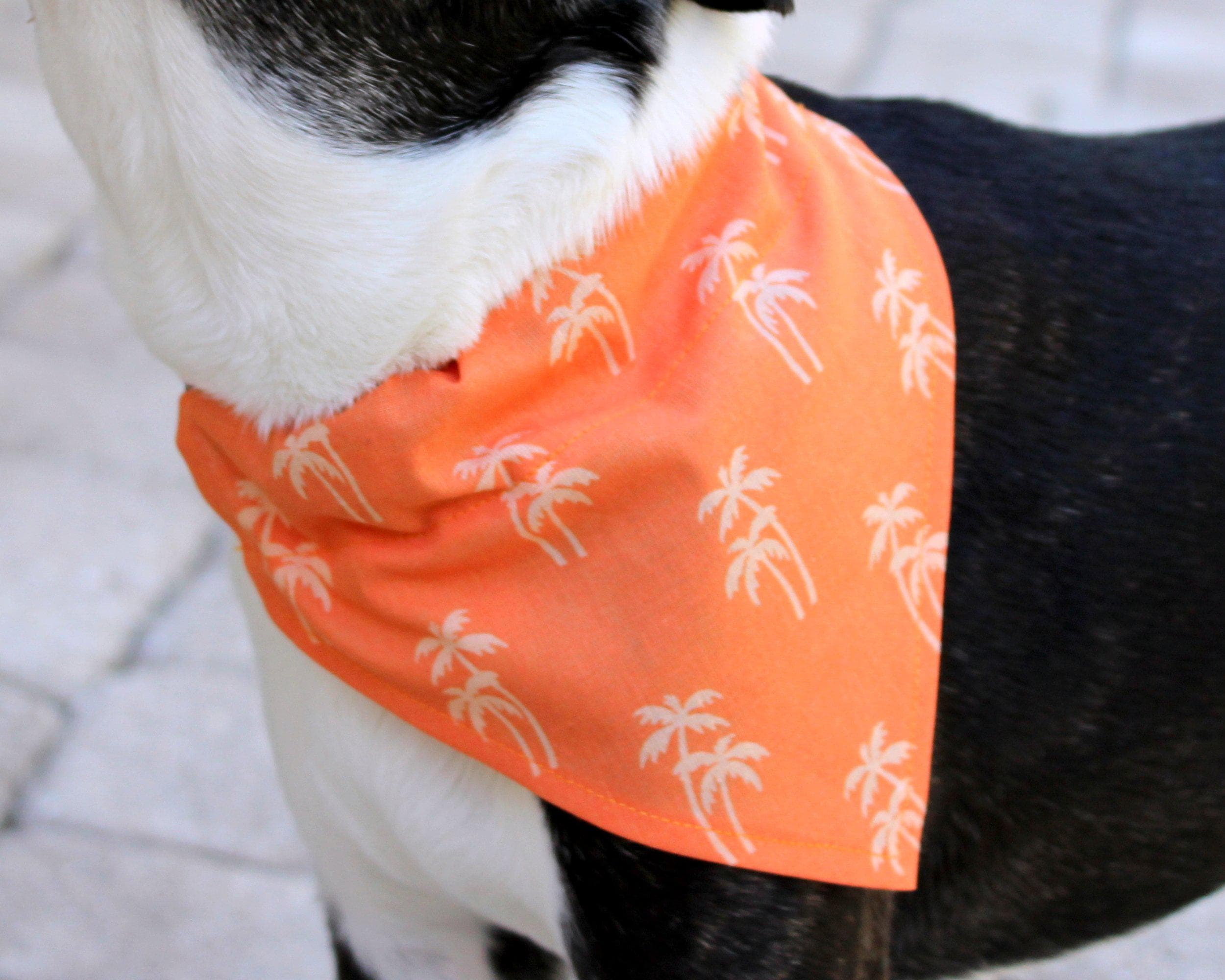 Orange Palm Tree Dog Bandana, Dog Cat Bandanna, Cotton, Slide-on Over ...