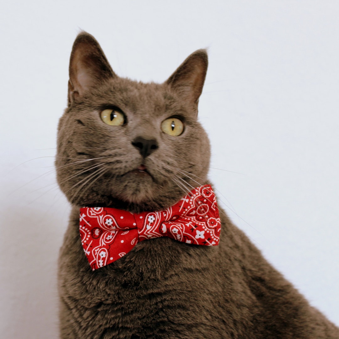 Red Bandanna Cat Bow Tie Collar Red Bandana Cat Bowtie Kitten Bow Tie ...