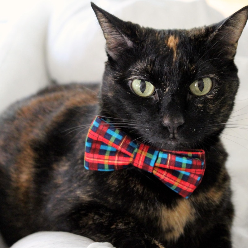Crazy Bow Ties - Etsy