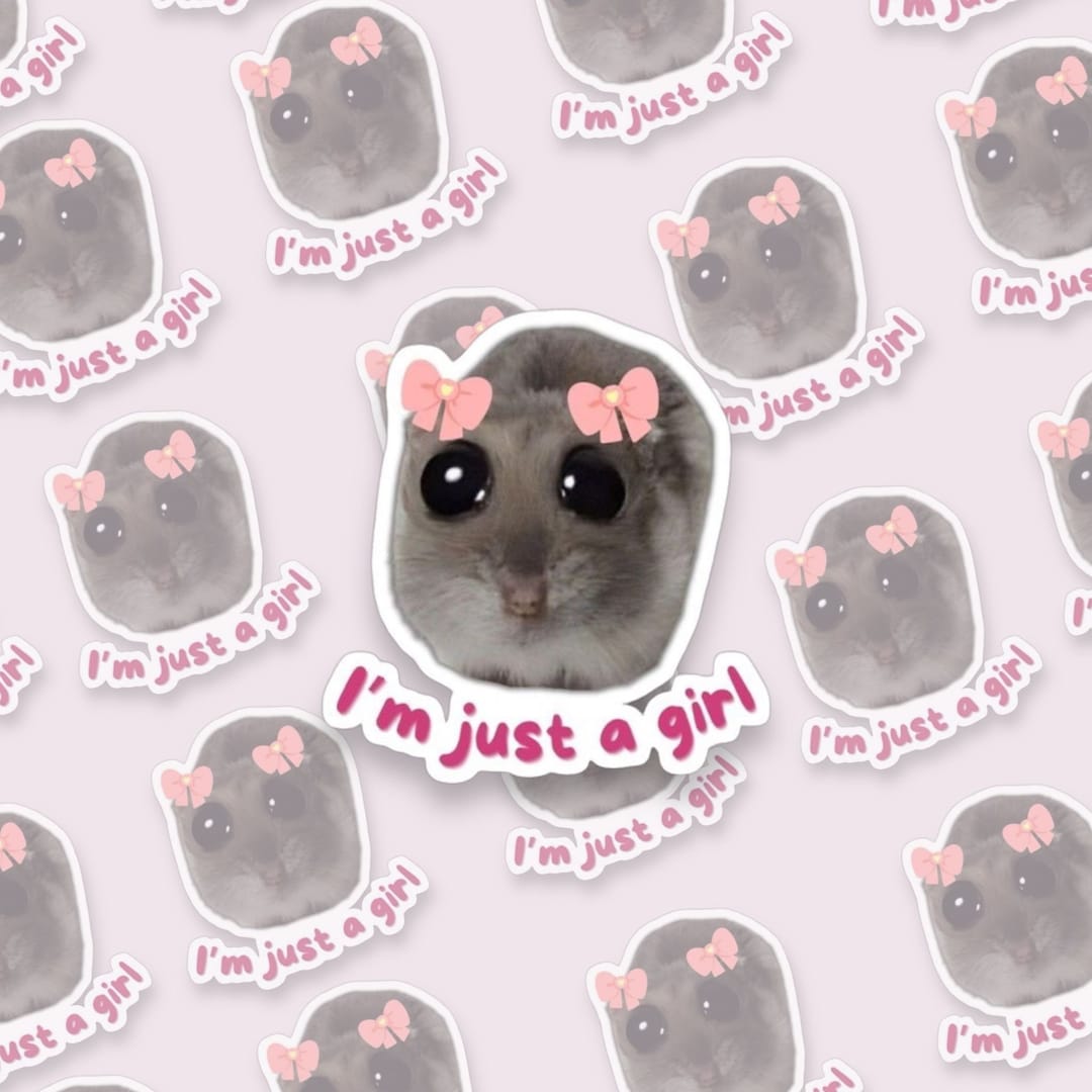 Stikers Famous Viral Hamster Meme - Etsy