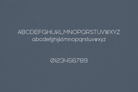 Hadley Font, Script Font, Handlettered Font, Modern Font, Calligraphy ...