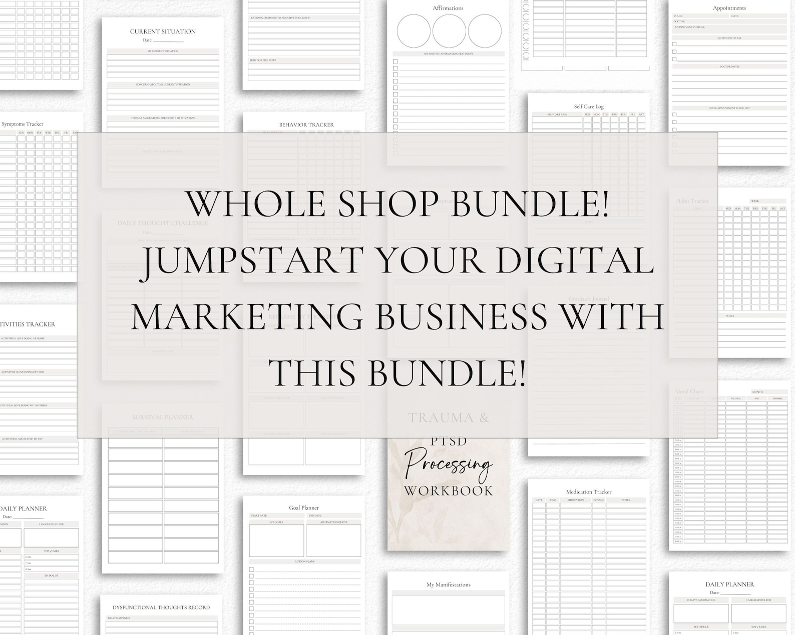 PLR Resell Digital Products Whole Shop Bundle,ultimate PLR Bundle Ideal ...