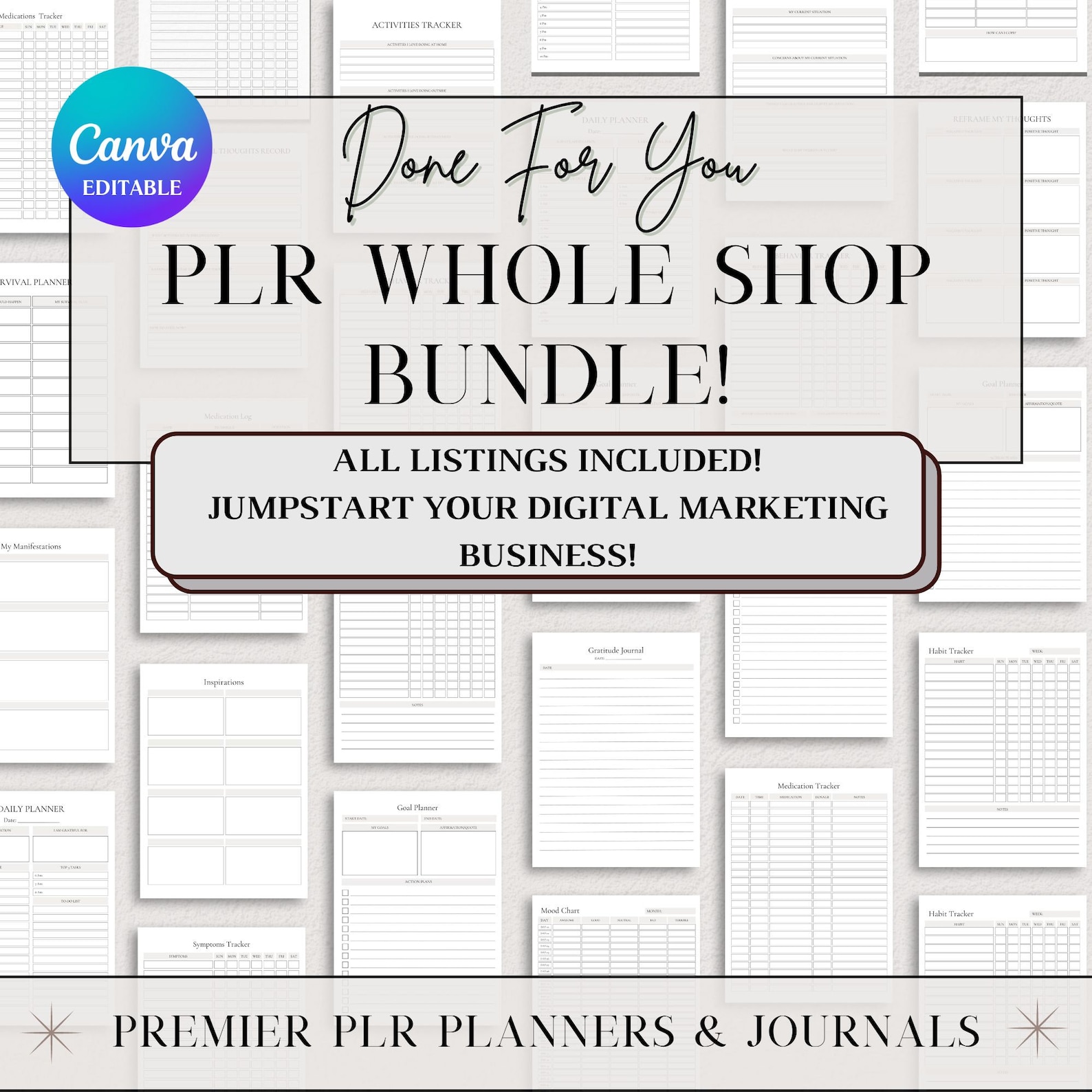 PLR Resell Digital Products Whole Shop Bundle,ultimate PLR Bundle Ideal ...