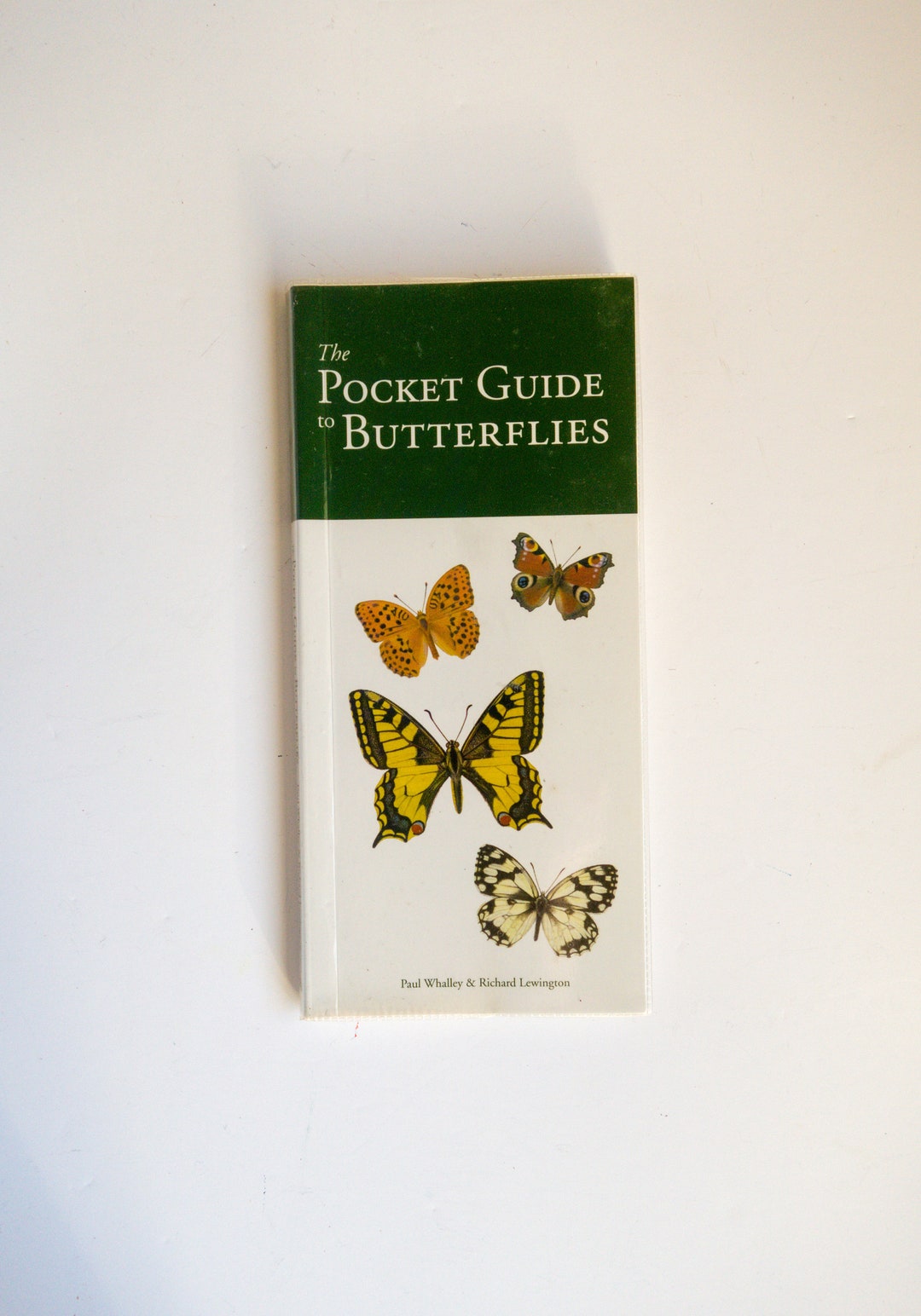 Vintage Butterfly Book: Pocket Guide to Butterflies, With Colourful ...