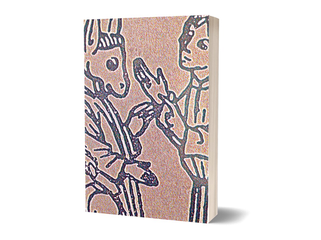 Medication Tracker Journal Donkey Pill Planner Meds Diary Medical ...