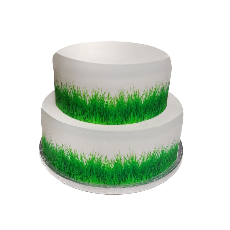 Grass Birthday Party - Etsy UK