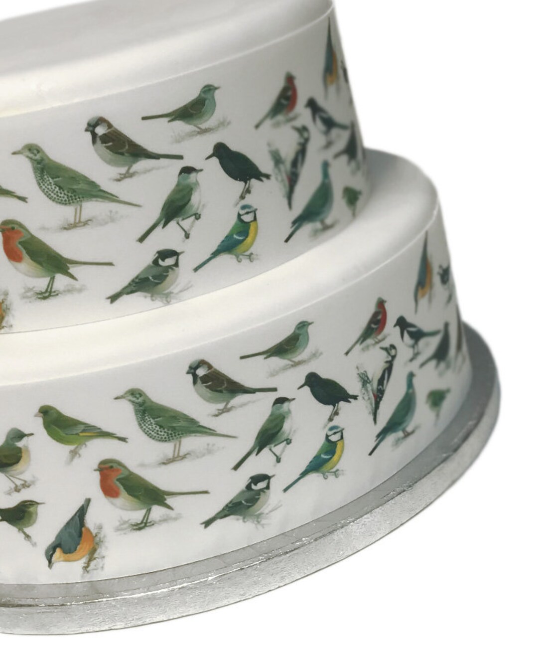 British Garden Birds Wildlife Border Ribbon Icing Cake Decoration ...