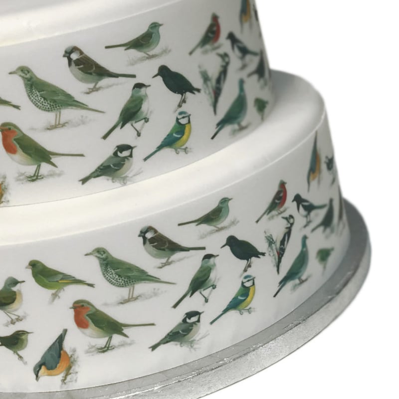 Animal Cake Topper Bird - Etsy UK