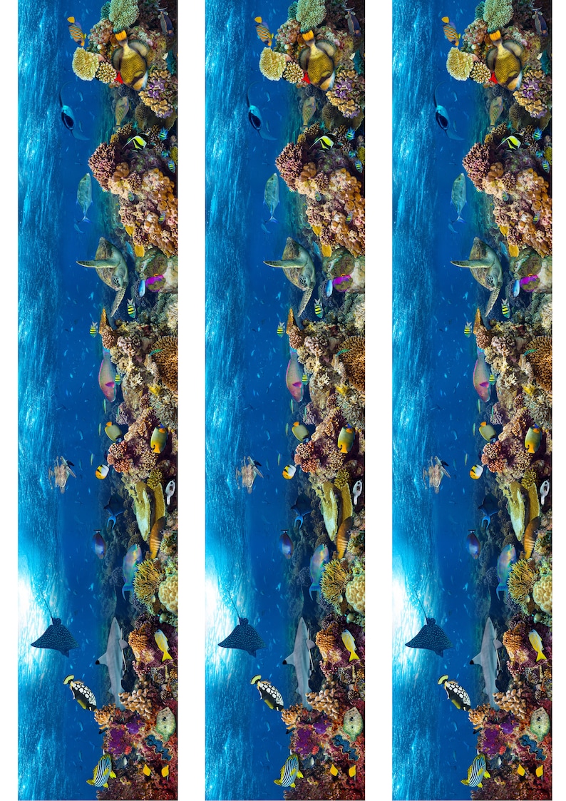 Underwater Sea Ocean Fish Border Ribbon Icing Cake Decoration Topper ...