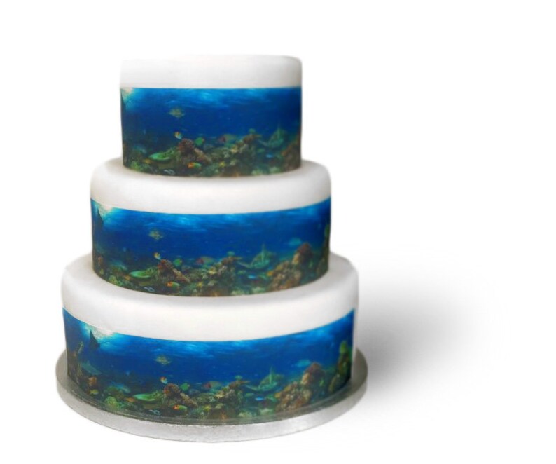 Underwater Sea Ocean Fish Border Ribbon Icing Cake Decoration Topper ...