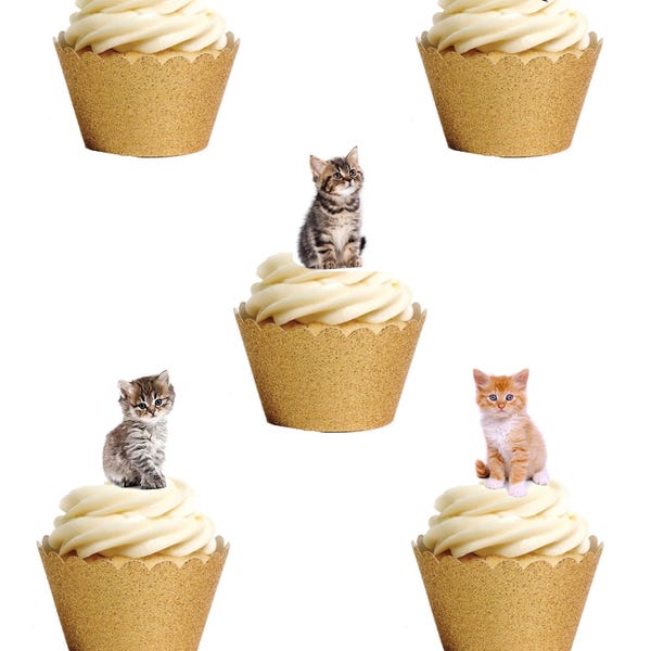 Edible Ginger Cakes - Etsy UK