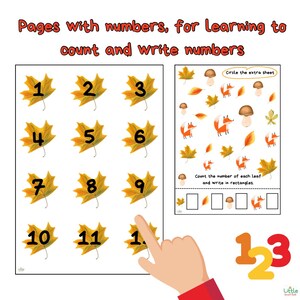 Pre-k Autumn| Fall Activities| Preschool Printables| Learning to Count ...