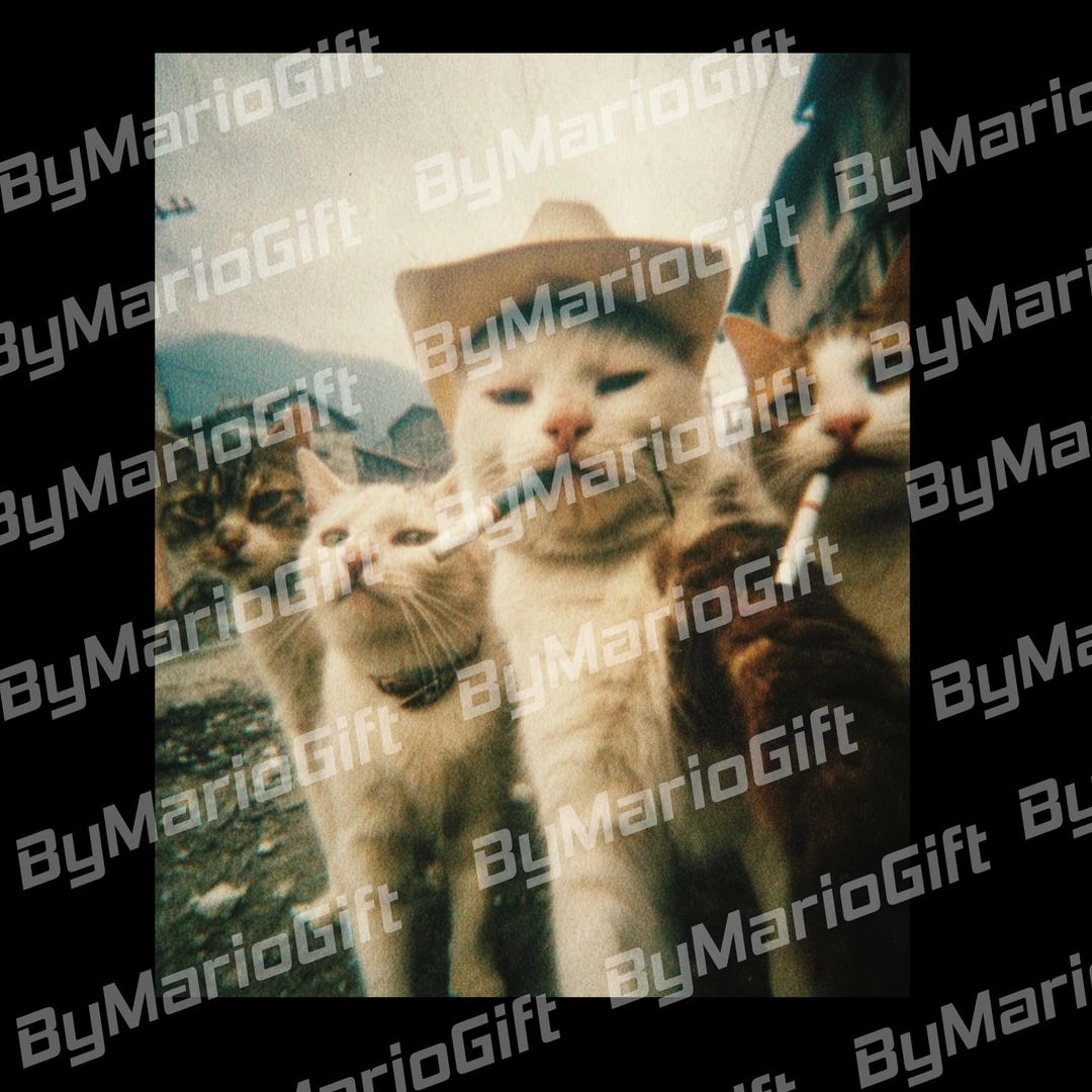Funny Cat Smoking Cigarette Meme PNG, Funny Nicotine Lover SVG, Funny ...