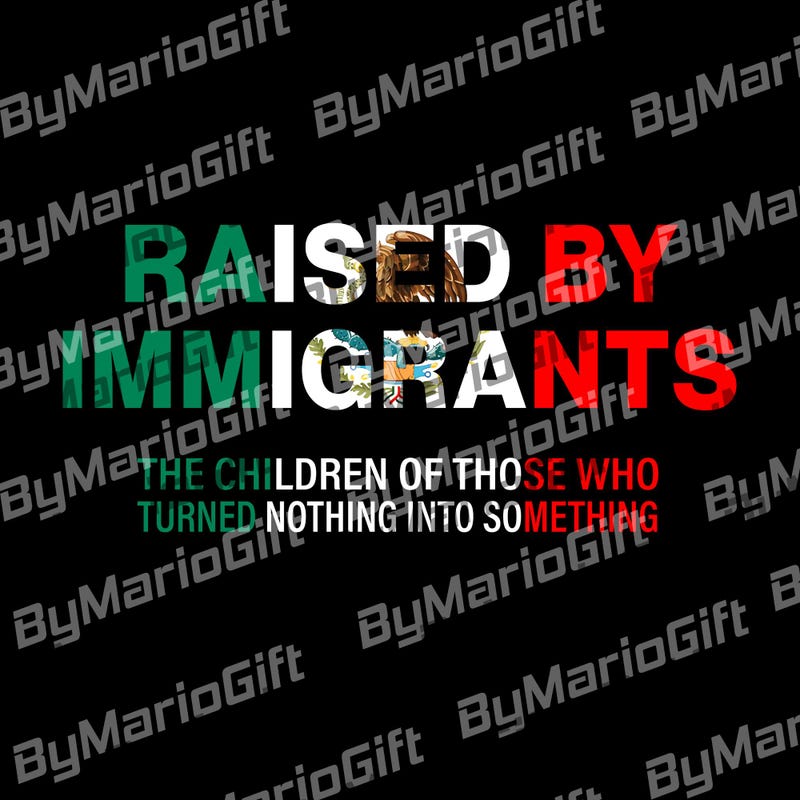 Raised by Immigrants Flag - Etsy