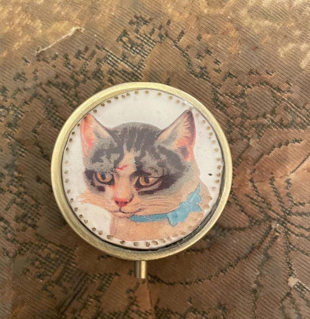 Retro Old-fashioned Kitten Cat or Puppy Dog Small Round Pill Box W/ 3 ...