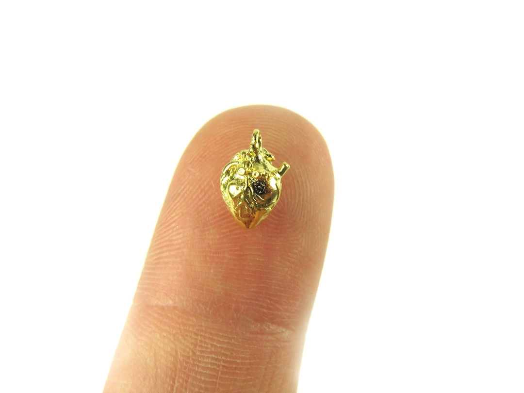 Tiny 3D Anatomical Human Heart Charms - Gold Plated - (4X) (K655-C) - Etsy