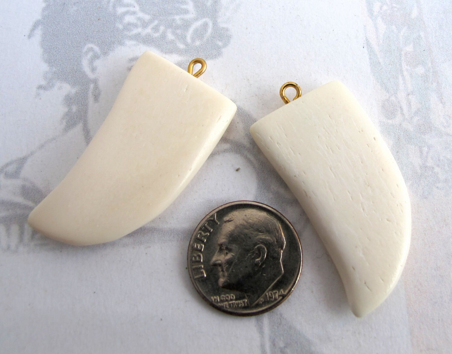 Real Bone Claw / Tooth Pendants Thicker 2X NS555 - Etsy