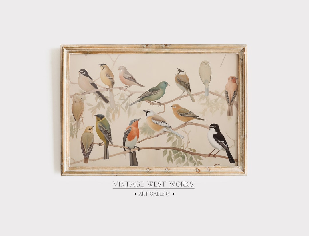 Vintage Farmhouse Bird Drawing Art Print | Rustic Farmhouse Bird Home ...