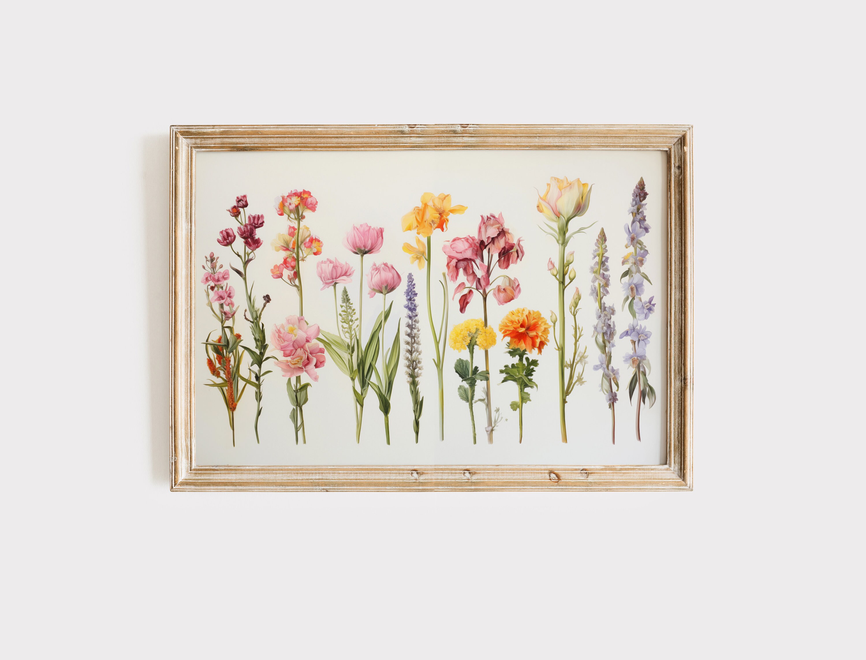 Traditional Floral Chart Poster Wall Art Wildflowers Diagram Art Print ...