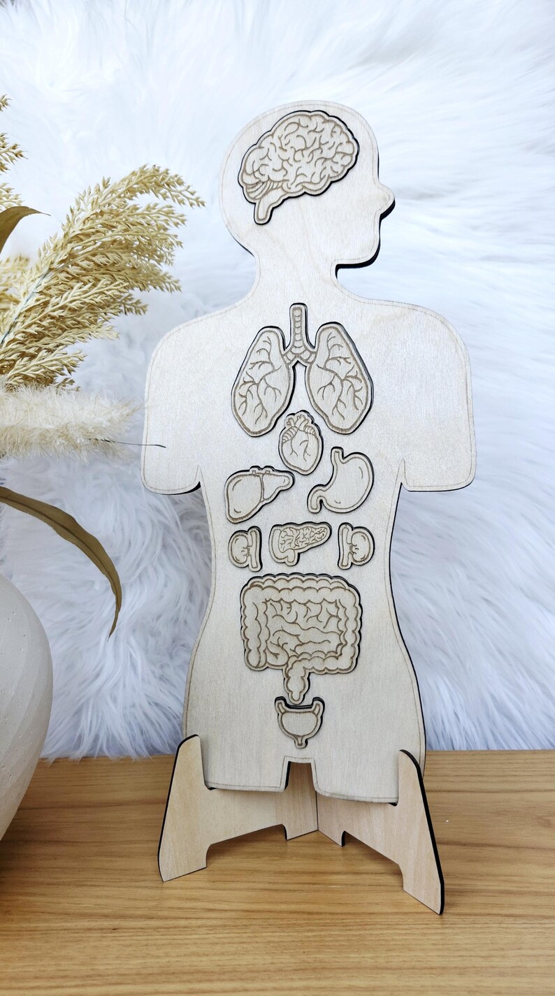 Wooden Human Body Anatomy Puzzle - Internal Organs - Montessori Toys ...