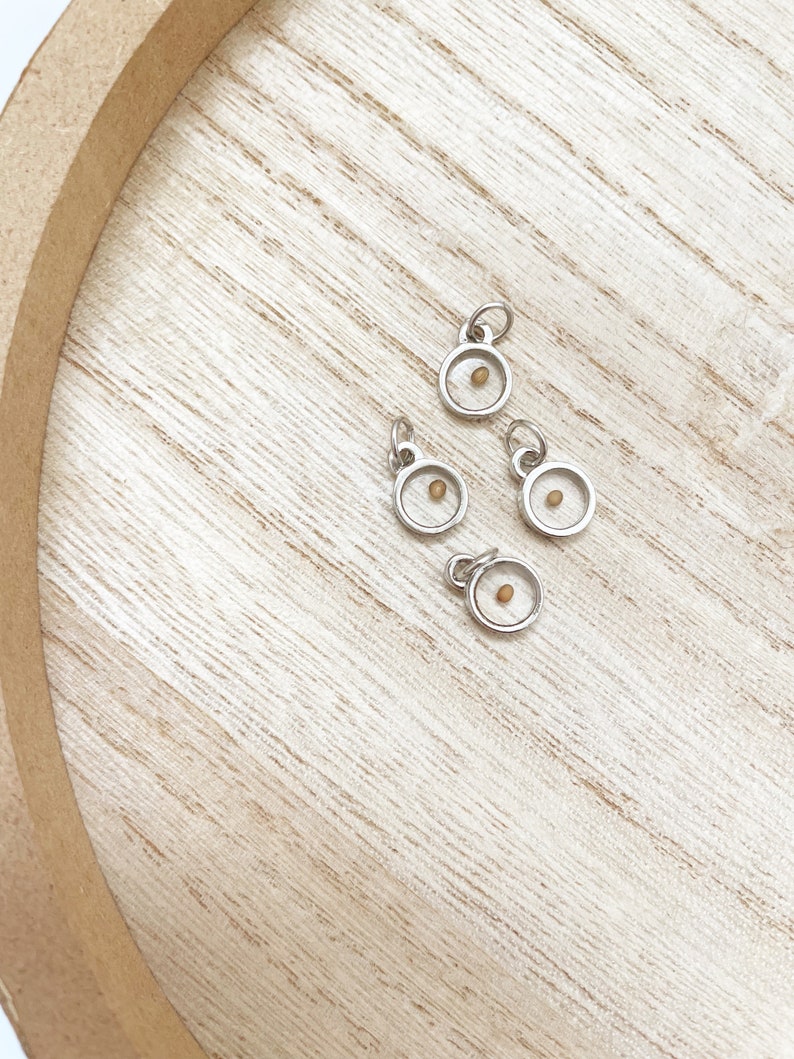 Silver Mustard Seed Charm - Etsy