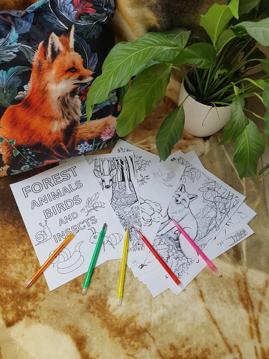 Children's Colouring Book, Educational, Fun Colouring Pages, Printable ... Children's Colouring Book, Educational, Fun Colouring Pages, Printable ...