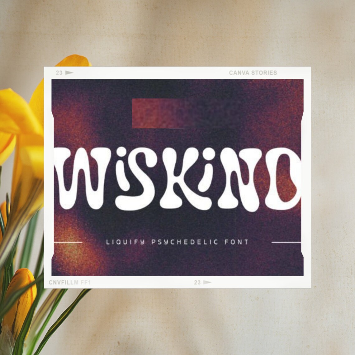Wiskind Font Retro Font, Playful Font, Script Fonts, Wedding Font ...