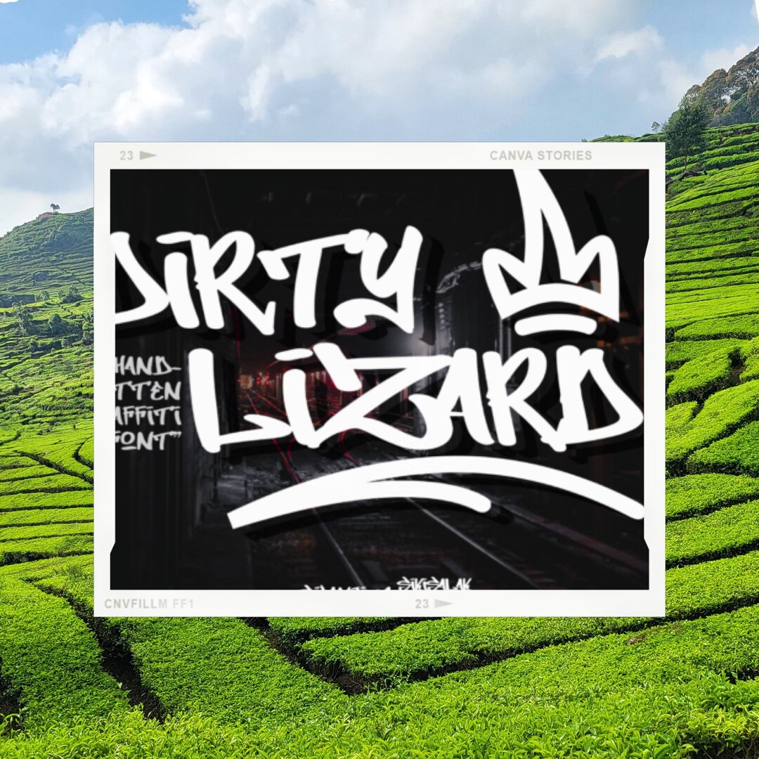 Dirty Lizard Font Cursive Font, Bold Font, Script Fonts, Wedding Font ...