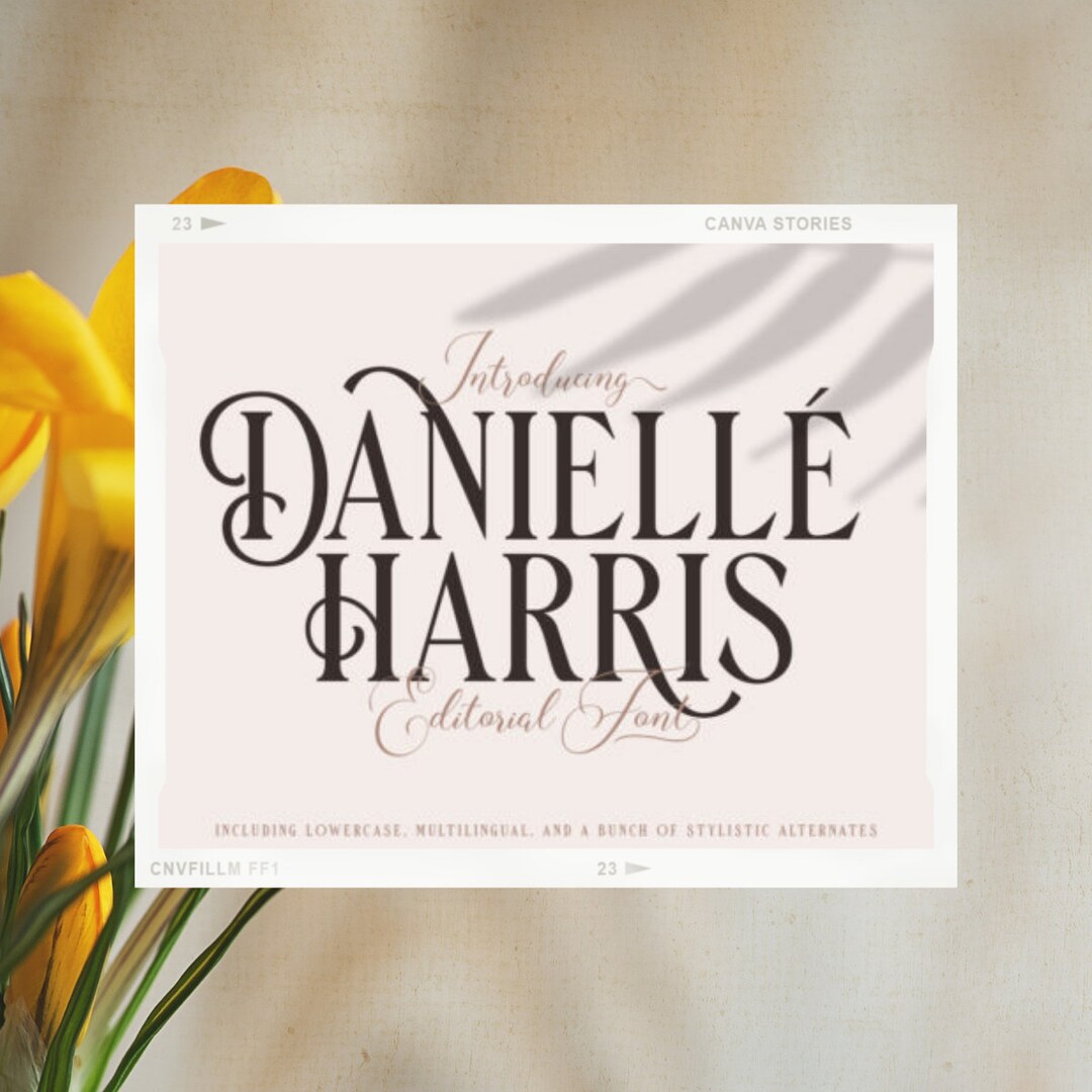 Danielle Harris Cursive Font, Bold Font, Script Fonts, Display Font ...