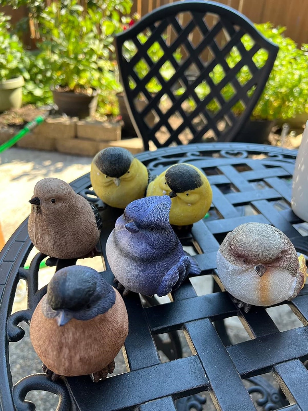 Set of 6 Realistic Birds Size Bird Decor Decorative Birds Statues and ...