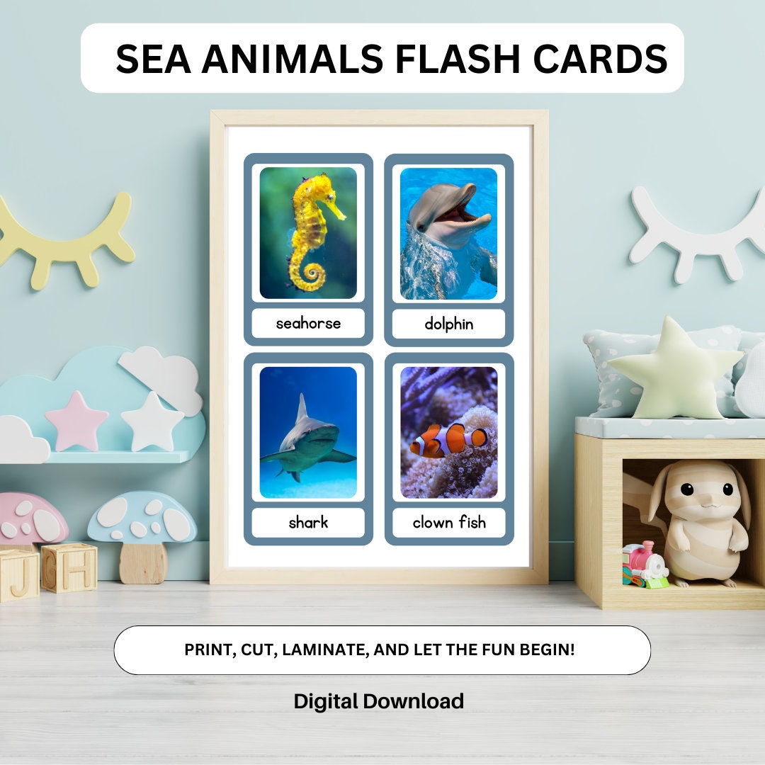 Sea Animals Flash Cards, Marine Life Learning Resources, Classroom Sea ...