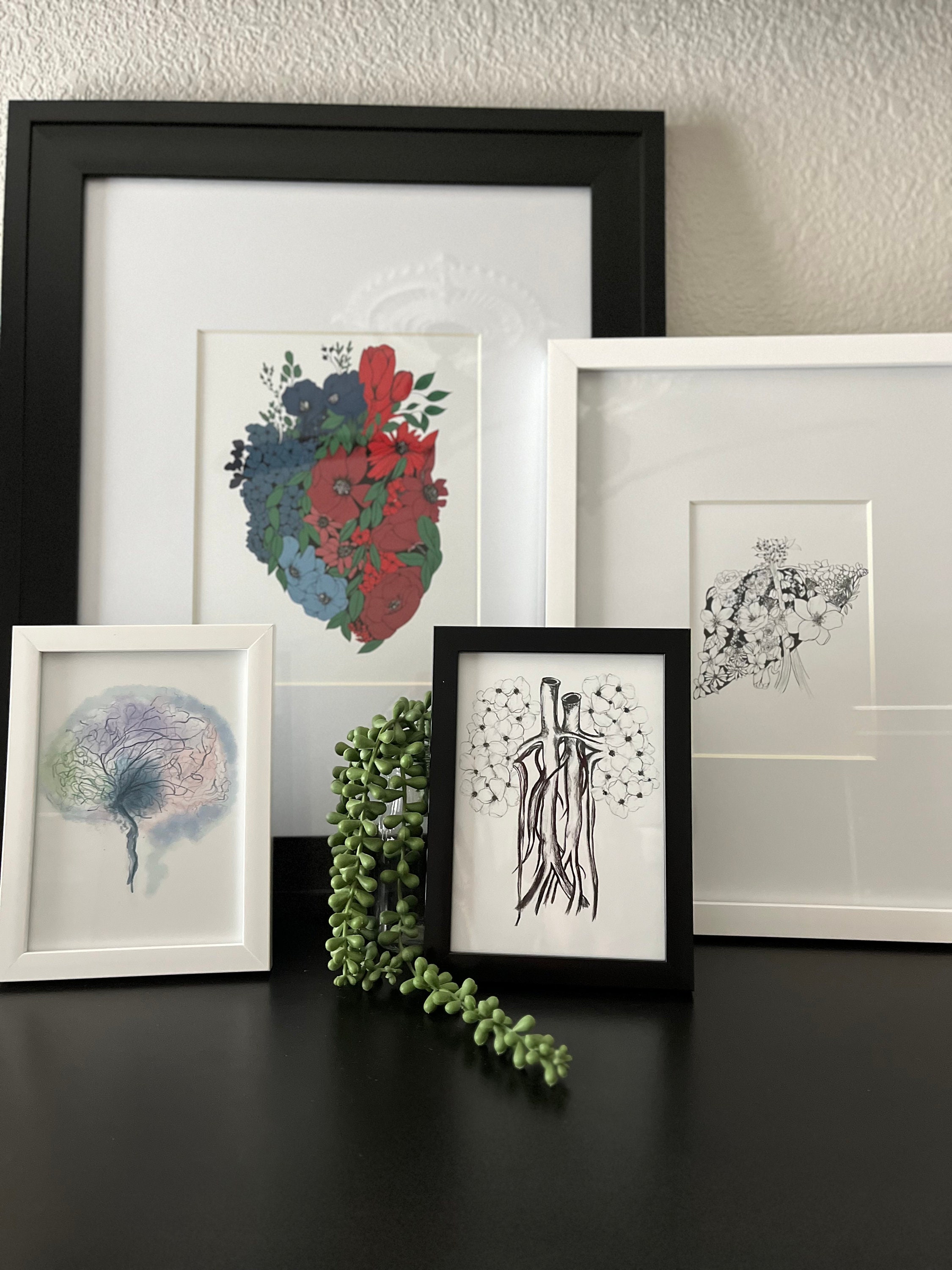 Anatomy Artwork Etsy